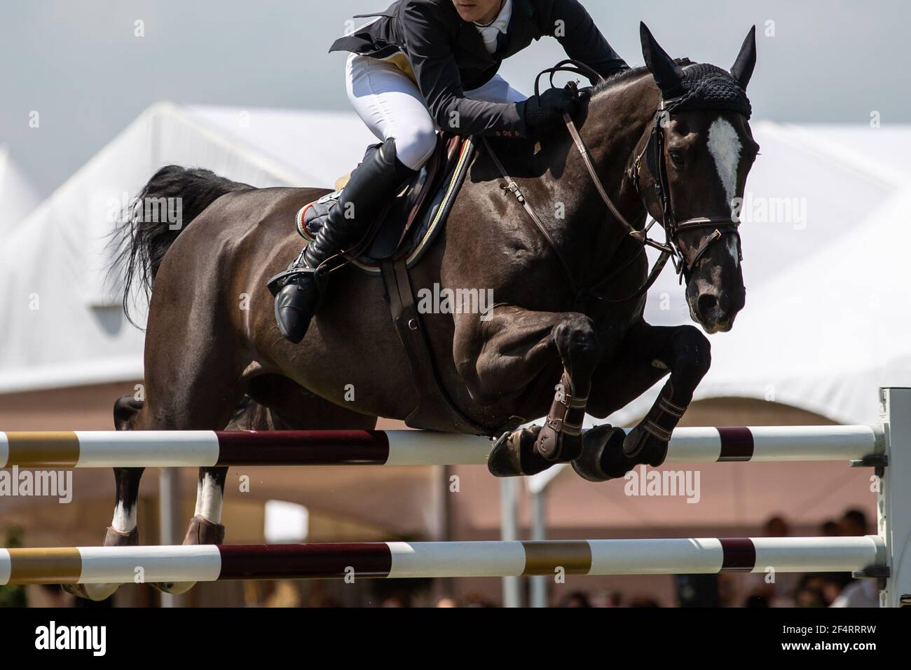 Horse Jumping, Equestrian Sports themed photo Stock Photo - Alamy