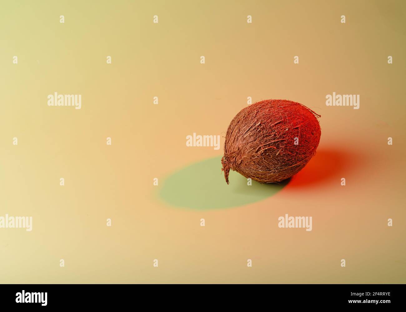 Double coconut hi-res stock photography and images - Alamy