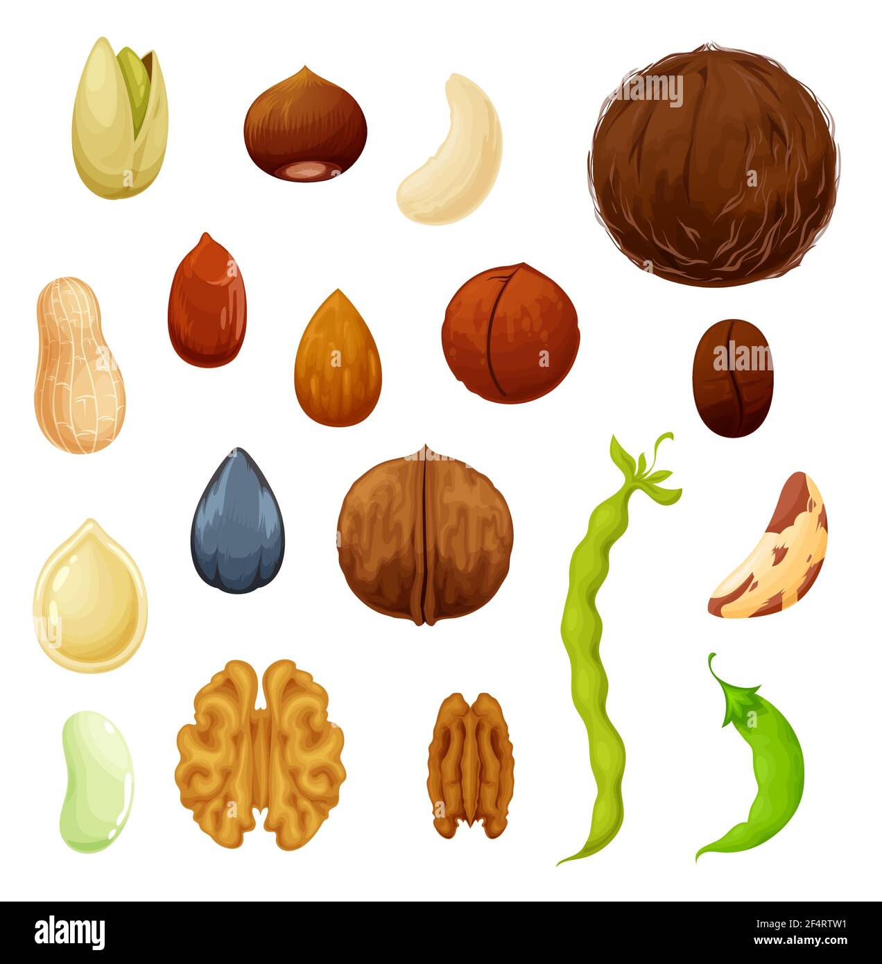 Nuts and beans icons, natural food cashew and almond, peanut and ...