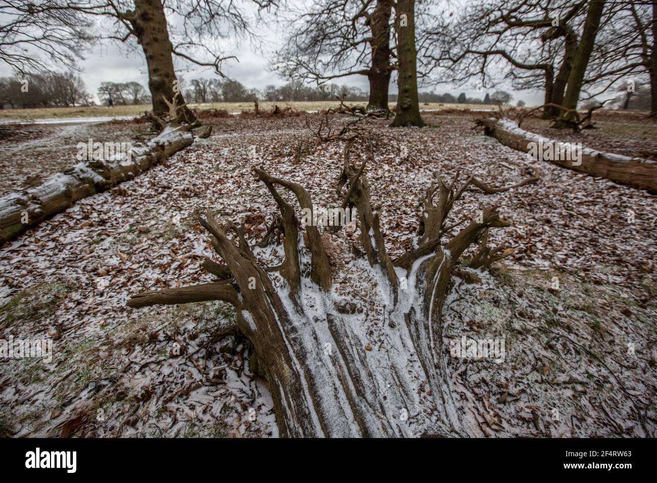 Thames freezing 2021 hi-res stock photography and images - Alamy