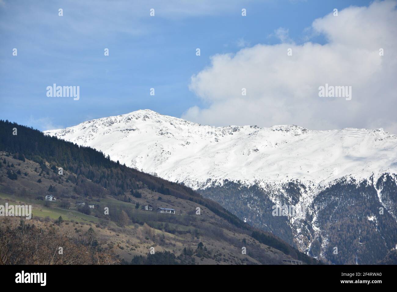 Snow-capped mountains near Mals / Malles, Val Venosta / Vinschgau ...