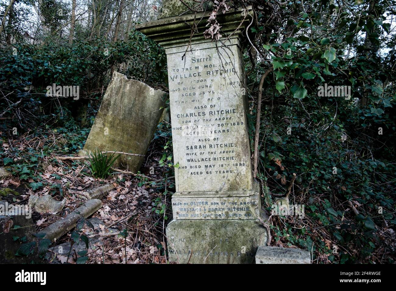 Overgrown and dilapidated graves, Nunhead Victorian cemetery, London ...
