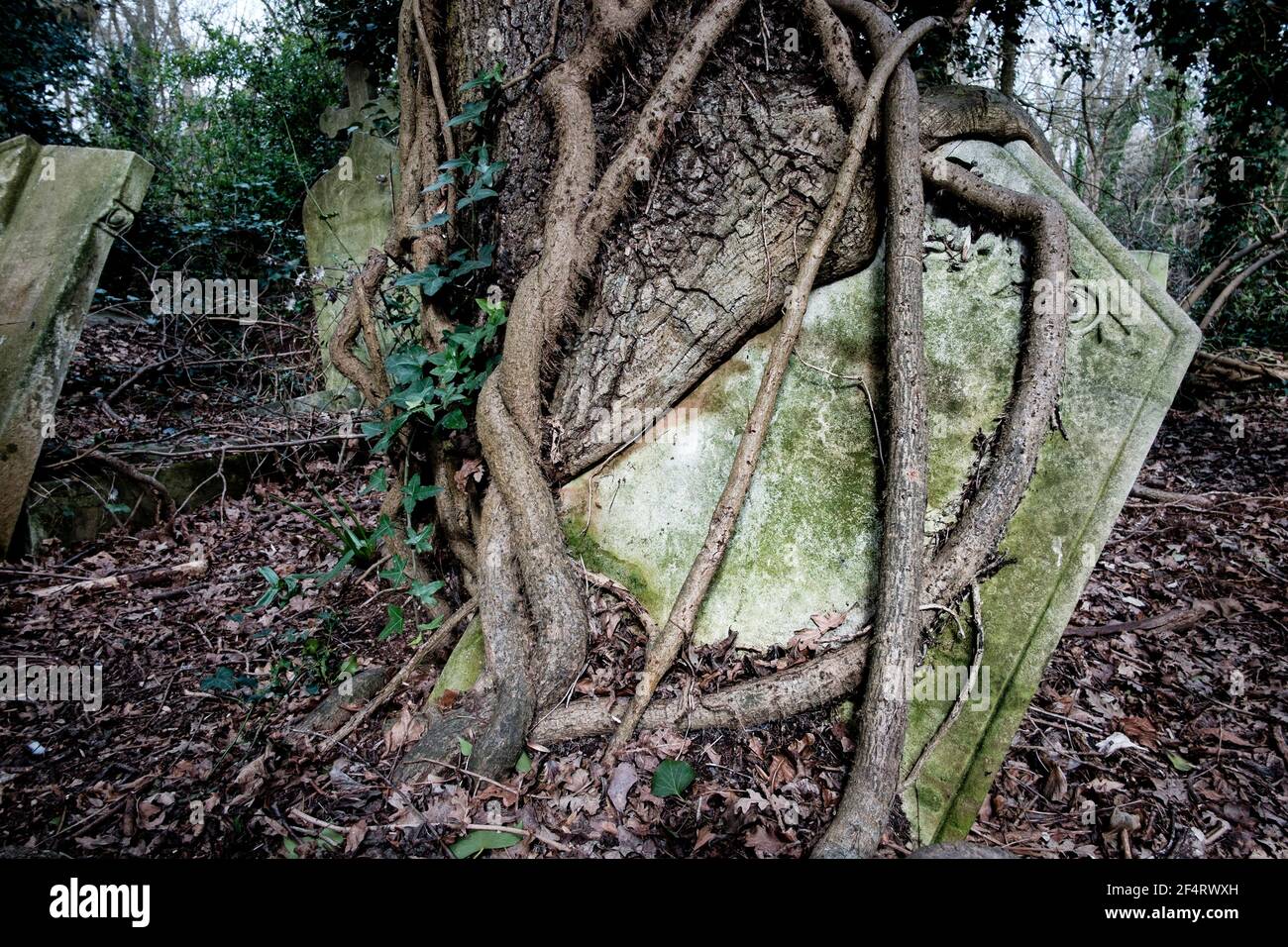 Victorian gravestone hi-res stock photography and images - Alamy