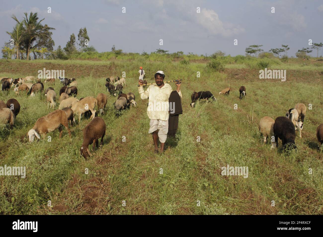 Dhangar hi-res stock photography and images - Alamy