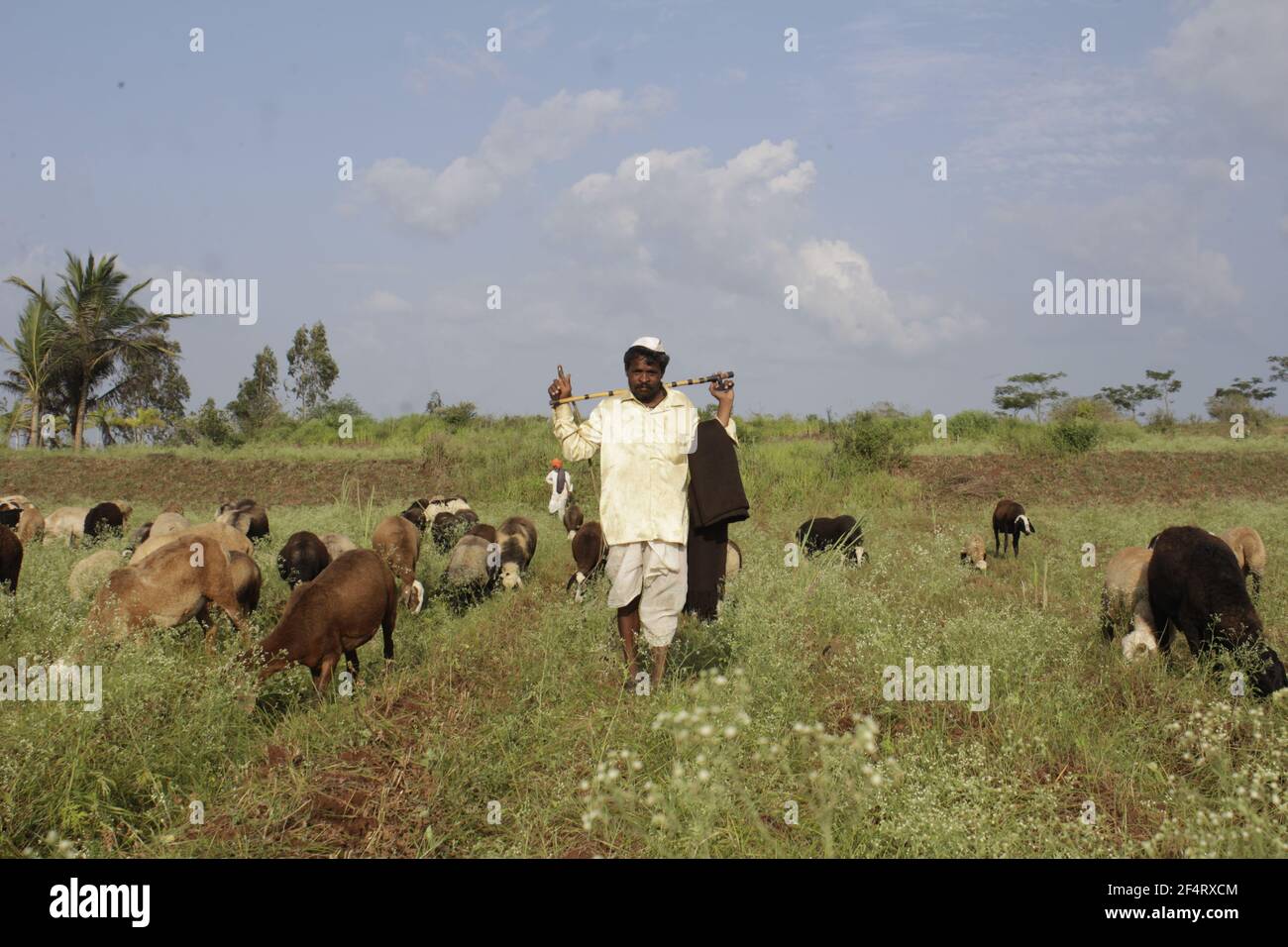 Dhangar hi-res stock photography and images - Alamy