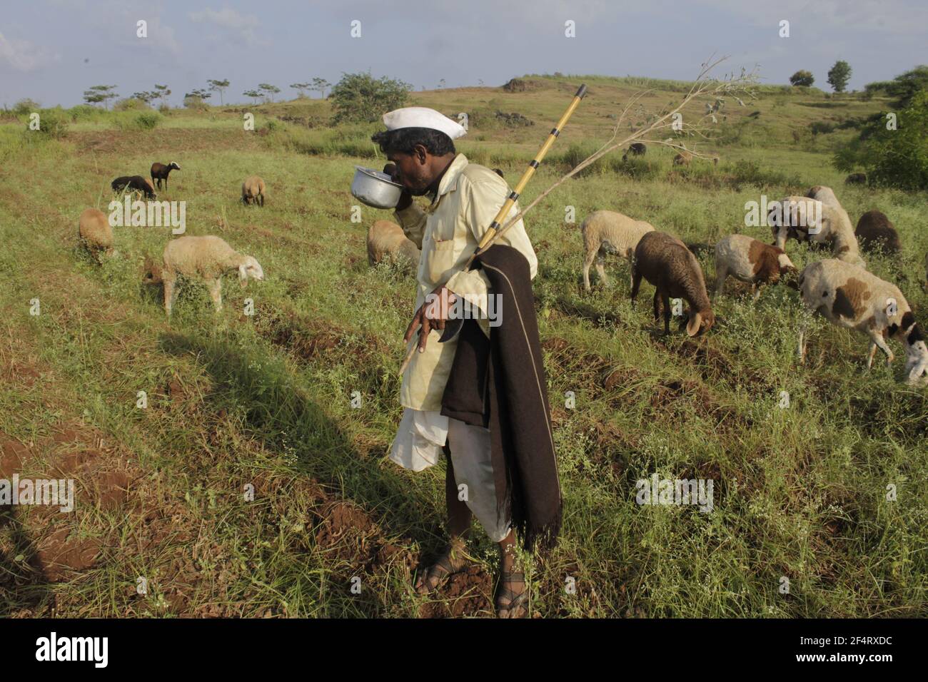 dhangar , shepherd, herders Stock Photo - Alamy