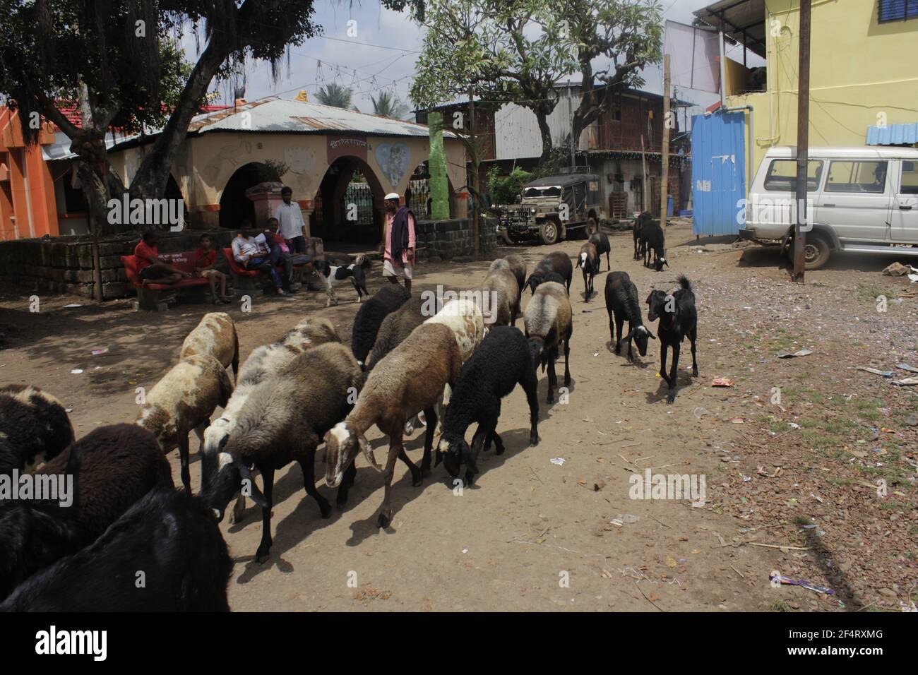 Dhangar hi-res stock photography and images - Alamy