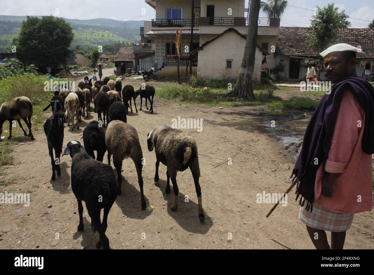 Dhangar hi-res stock photography and images - Alamy