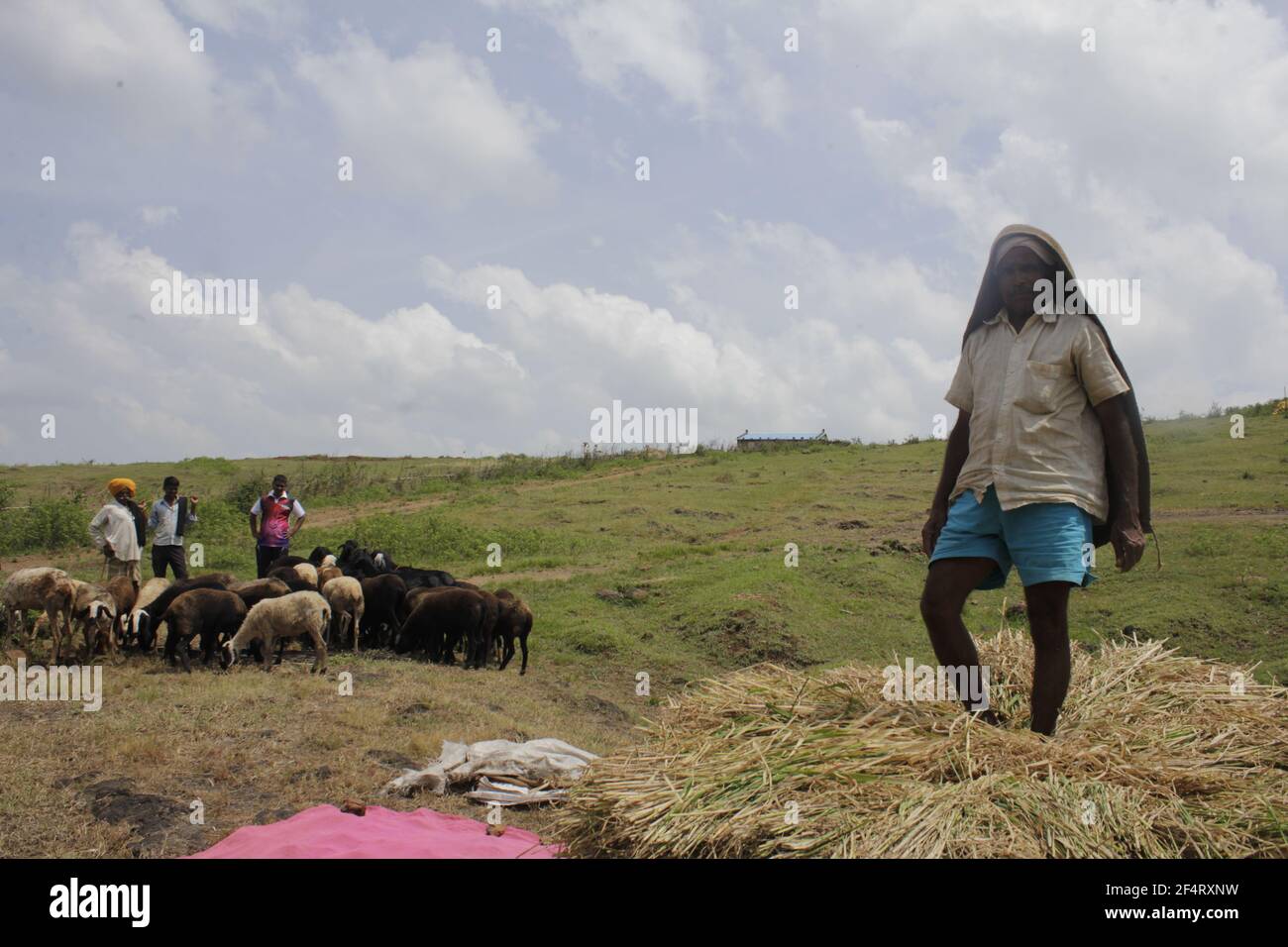 Dhangar hi-res stock photography and images - Alamy