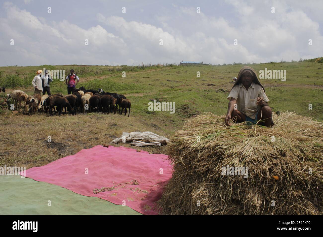 Dhangar High Resolution Stock Photography and Images - Alamy