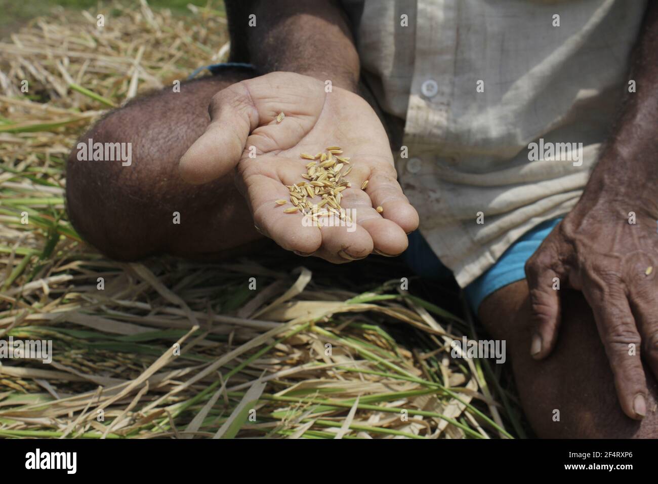 Dhangar hi-res stock photography and images - Alamy