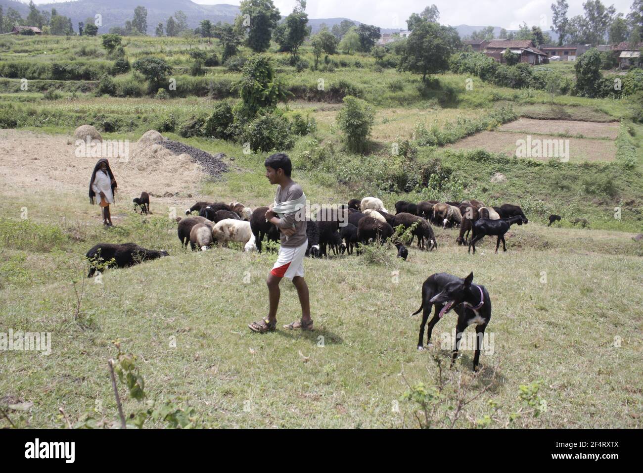 Dhangar hi-res stock photography and images - Alamy