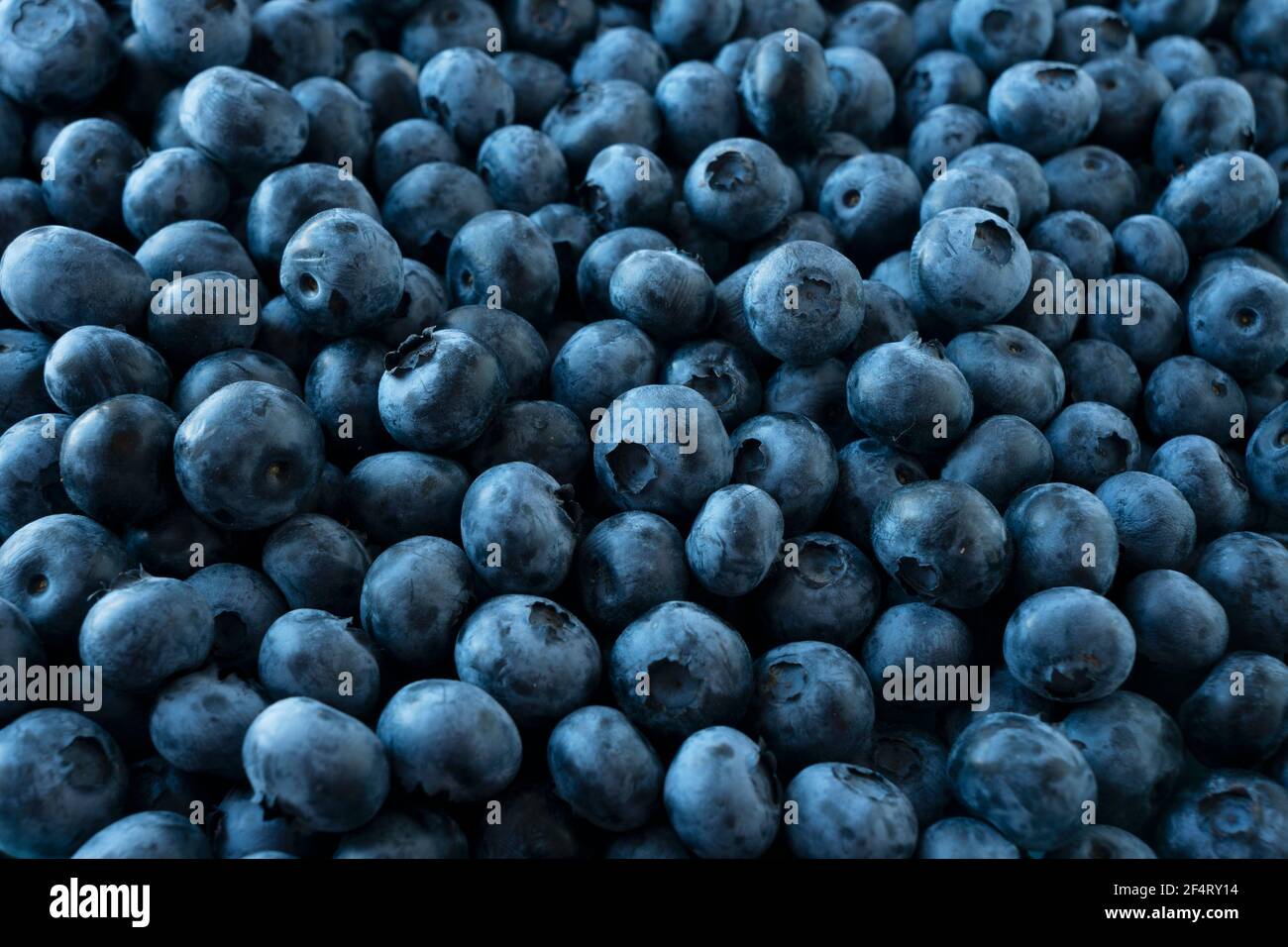 Fresh blueberry background. Texture blueberry berries close up Stock ...