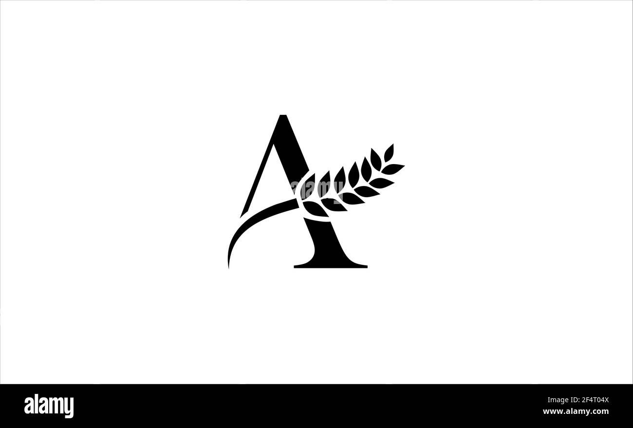 wheat logo letter a vector illustration Stock Photo - Alamy