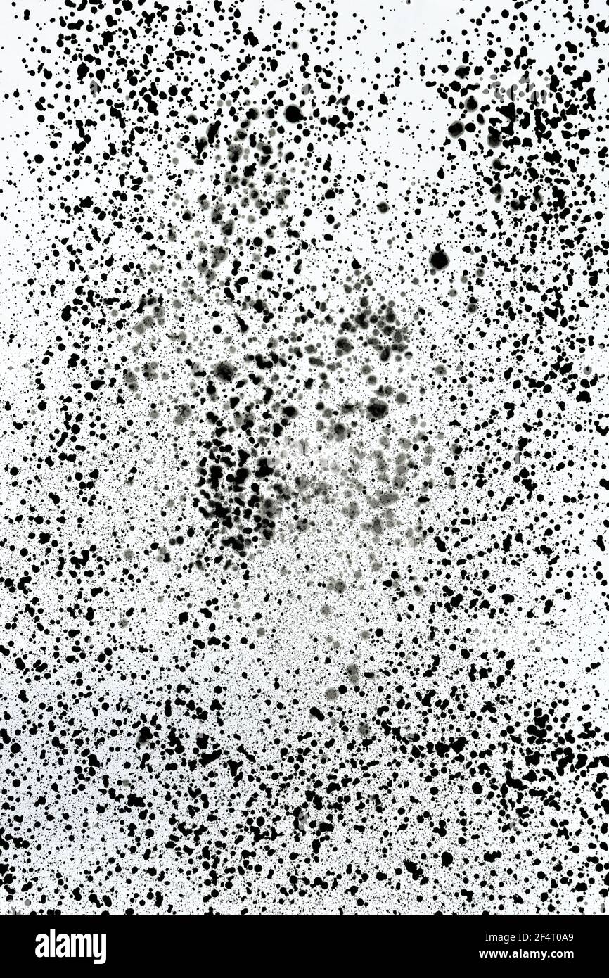 paint splatter on a white paper Stock Photo - Alamy