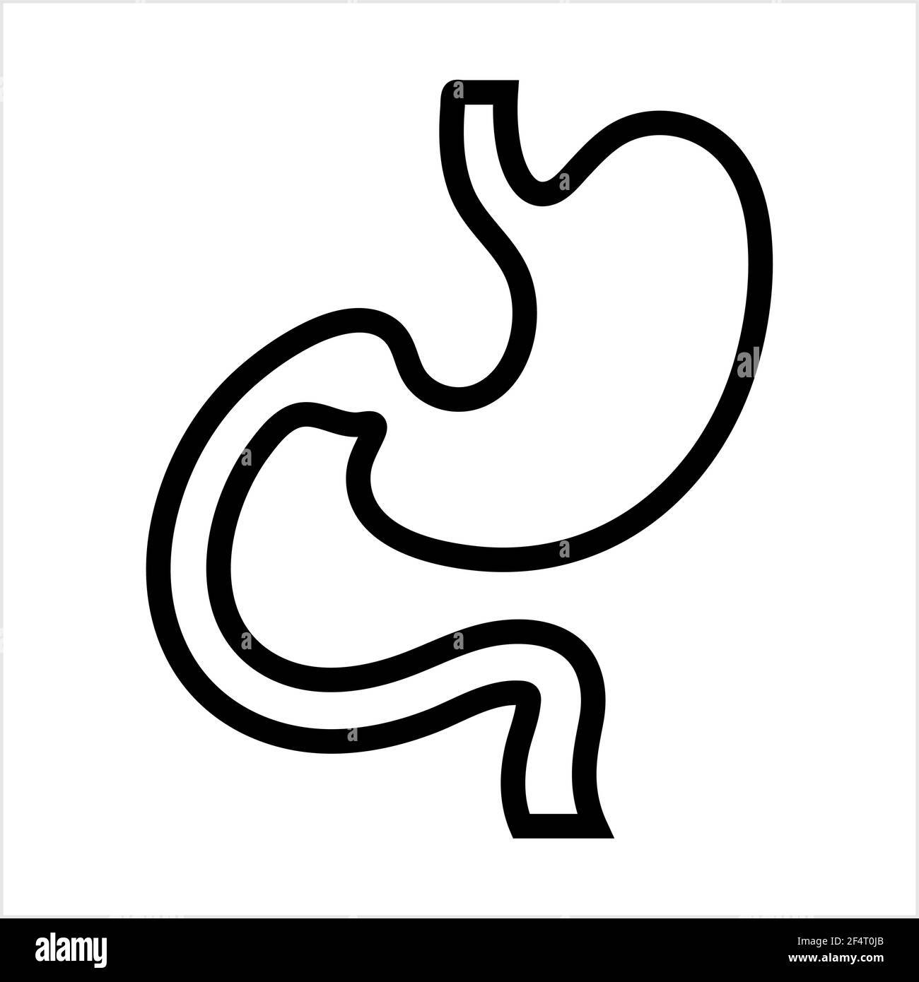 Stomach Icon, Gastroenterology Icon Vector Art Illustration Stock ...