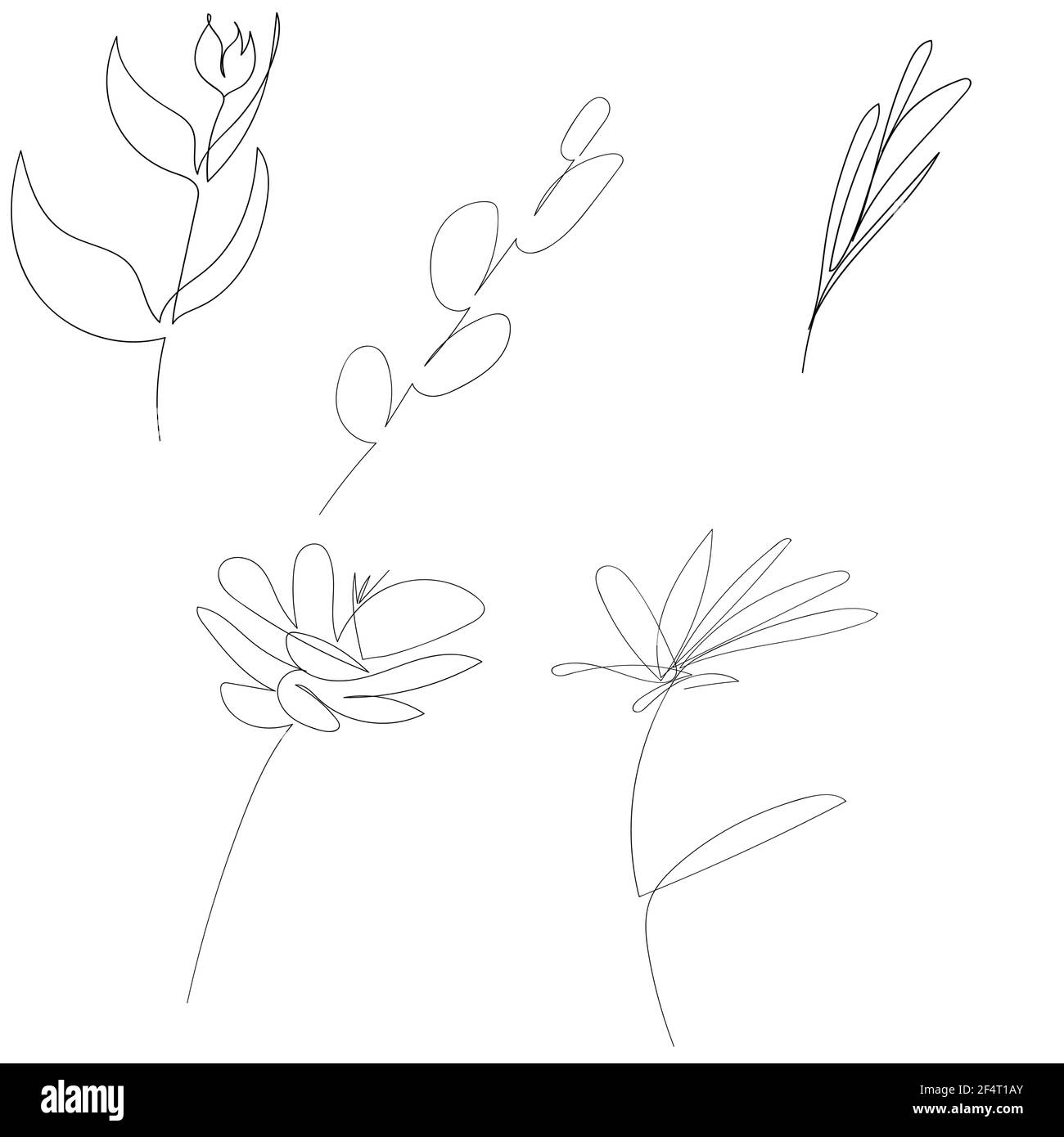 set of vector single one line drawn set of flowers. handdrawing outline ...