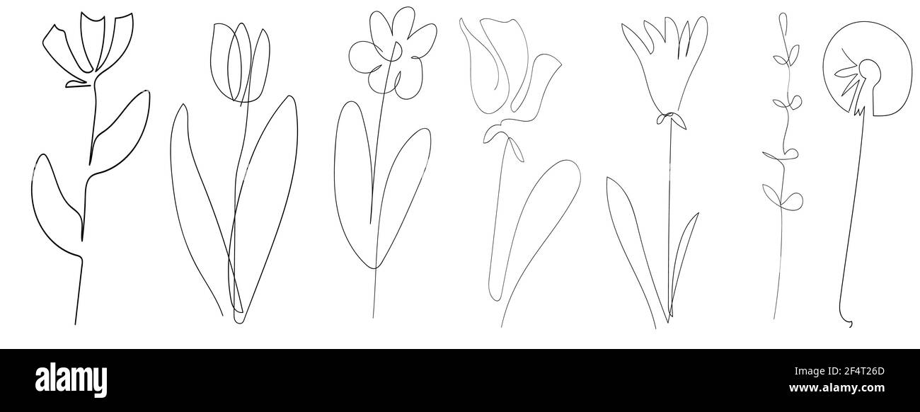 set of vector single one line drawn set of flowers. handdrawing outline ...