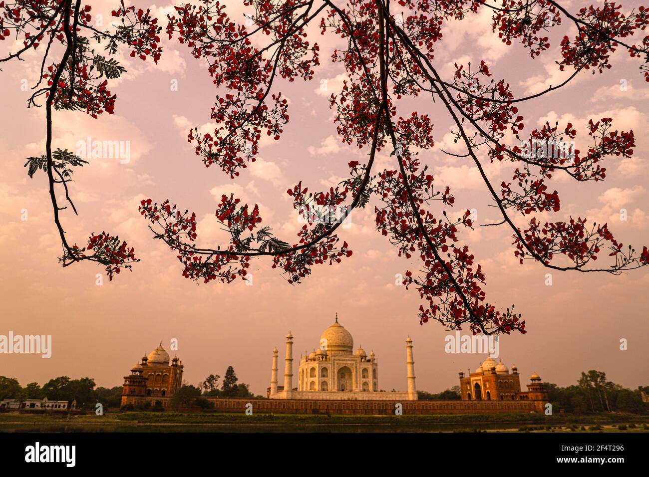 Famous landmarks of india hi-res stock photography and images - Alamy
