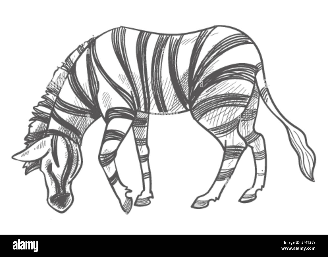 Herbivore grassland Cut Out Stock Images & Pictures - Alamy