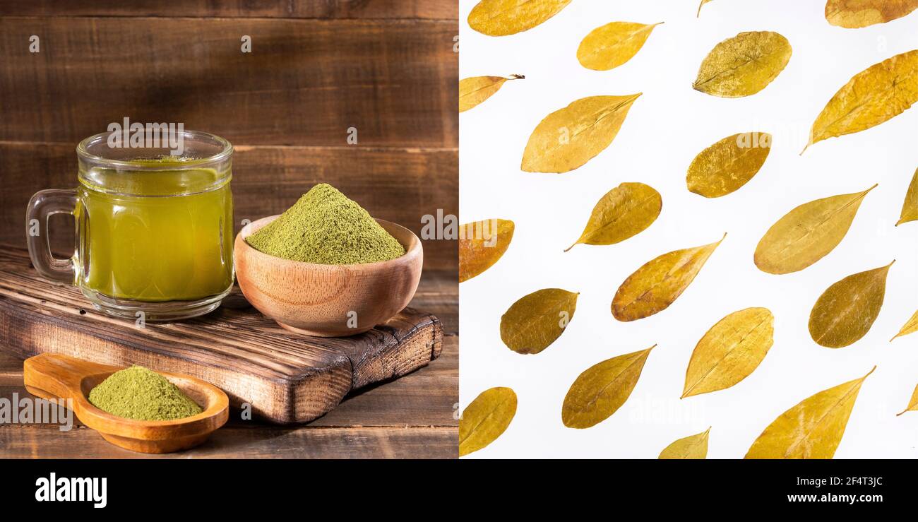 Coca plant tea hi-res stock photography and images - Alamy
