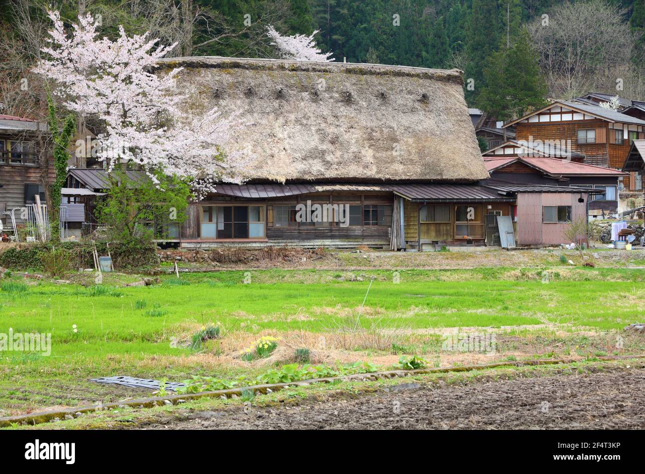 Japan landmark village. Shirakawa-go traditional village in Japan ...