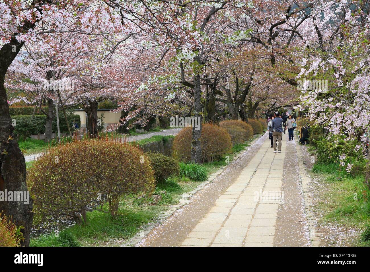 Places to visit in kyoto hi-res stock photography and images - Alamy