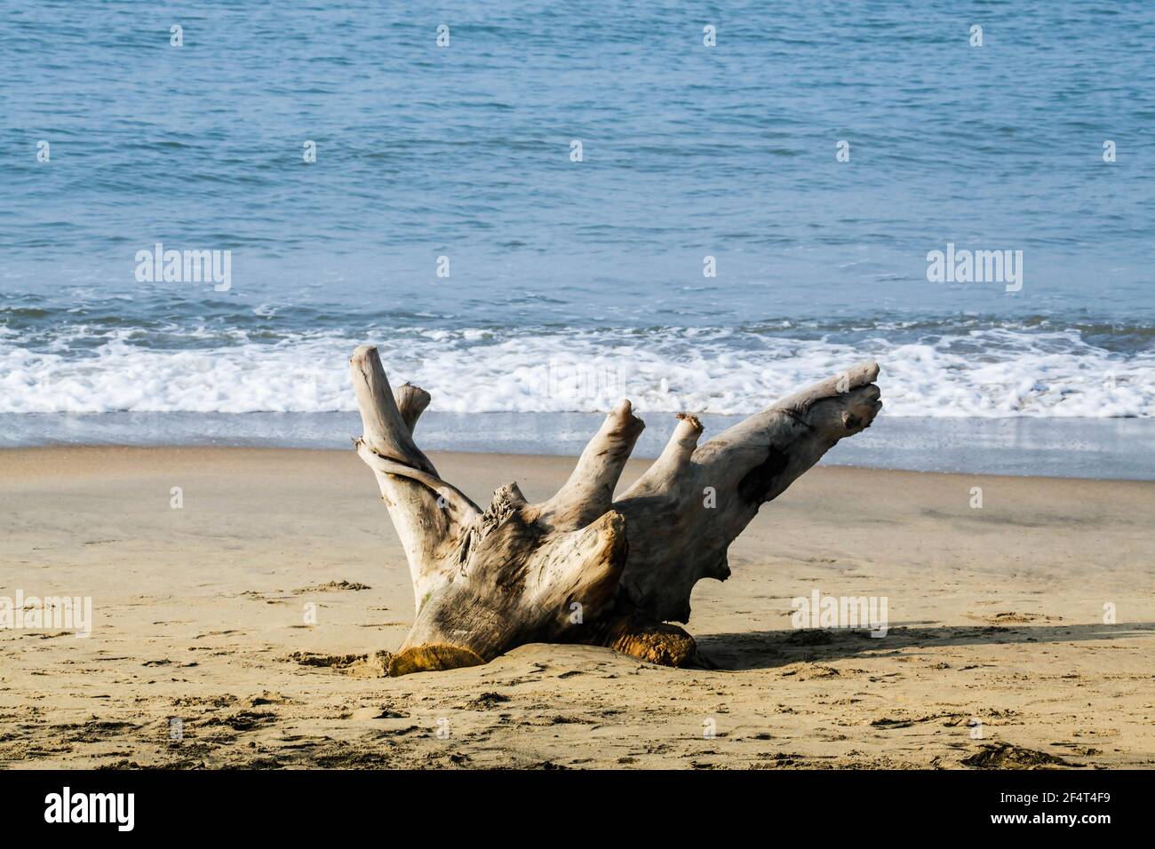 chaliyam fishing harbour Stock Photo - Alamy