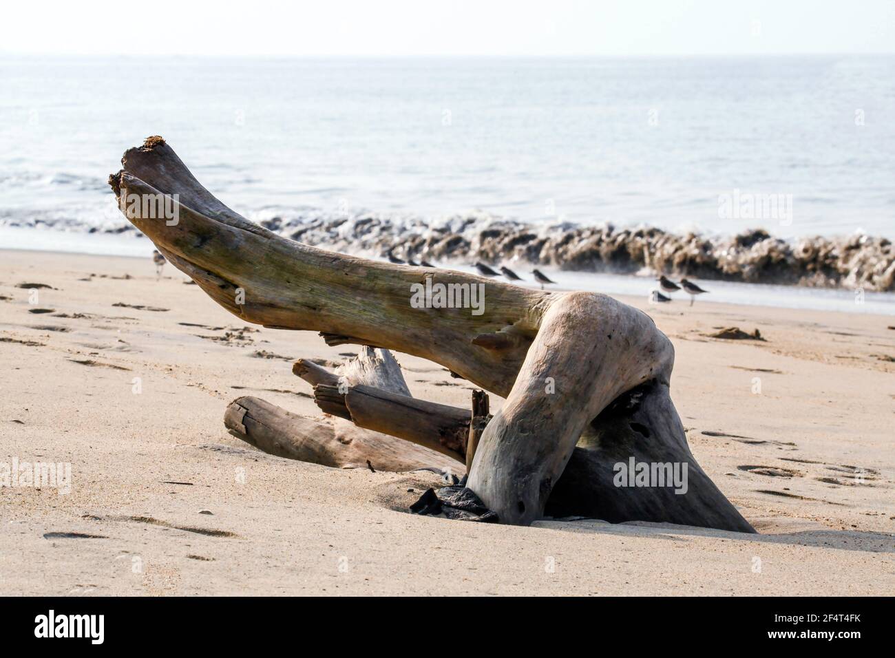 chaliyam fishing harbour Stock Photo - Alamy