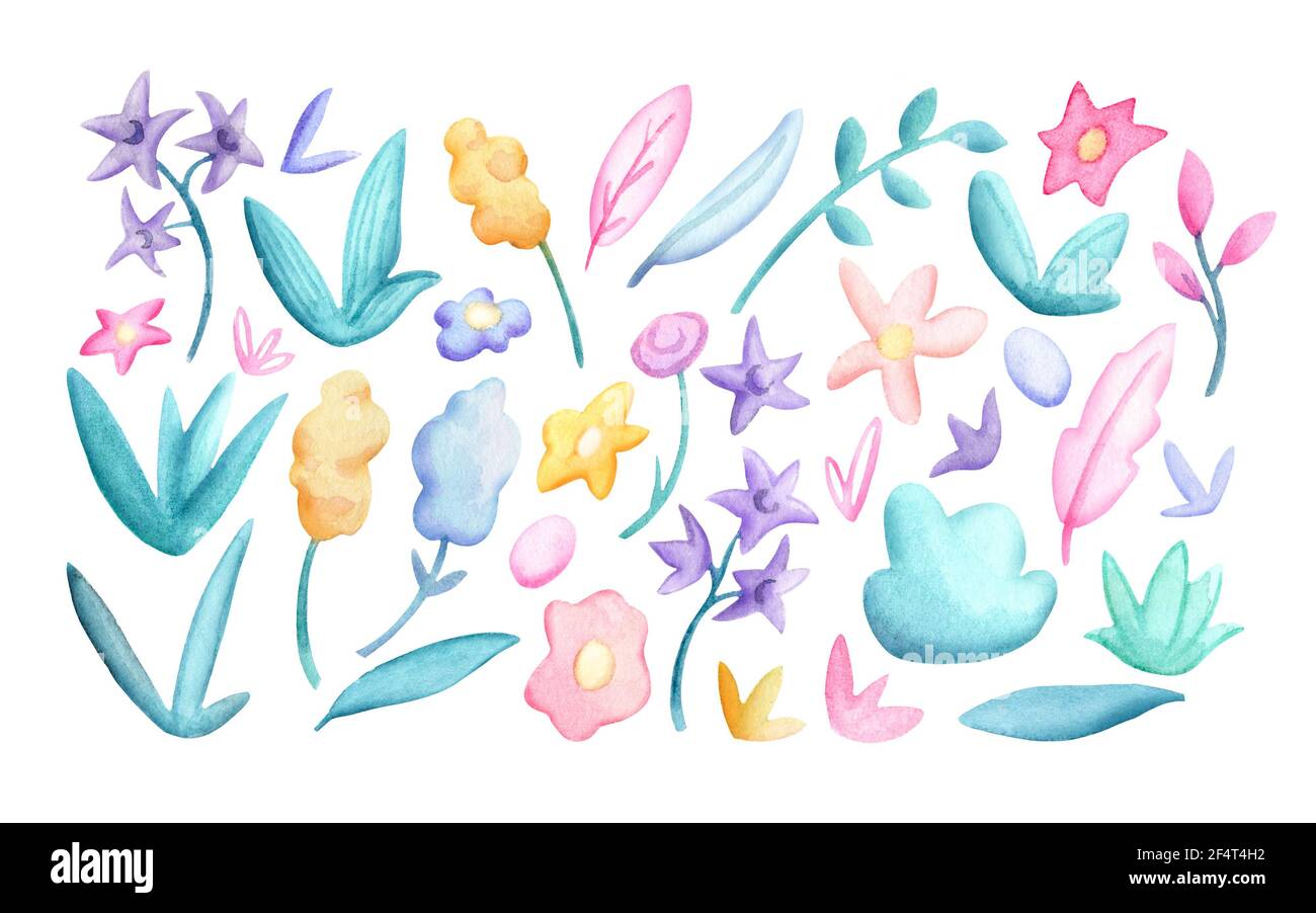 Spring floral elements watercolor clipart on white background. Flower ...