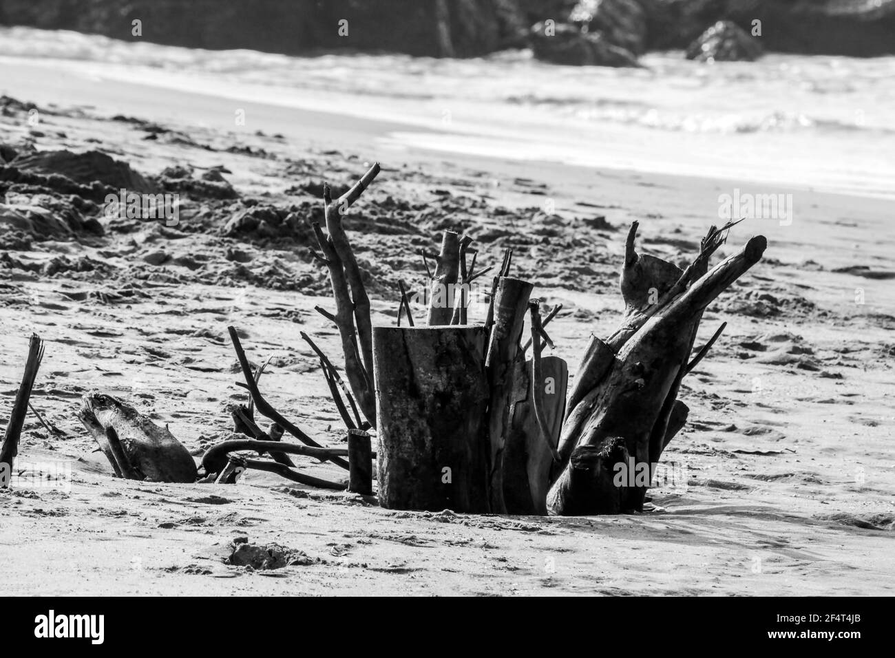 chaliyam fishing harbour Stock Photo - Alamy