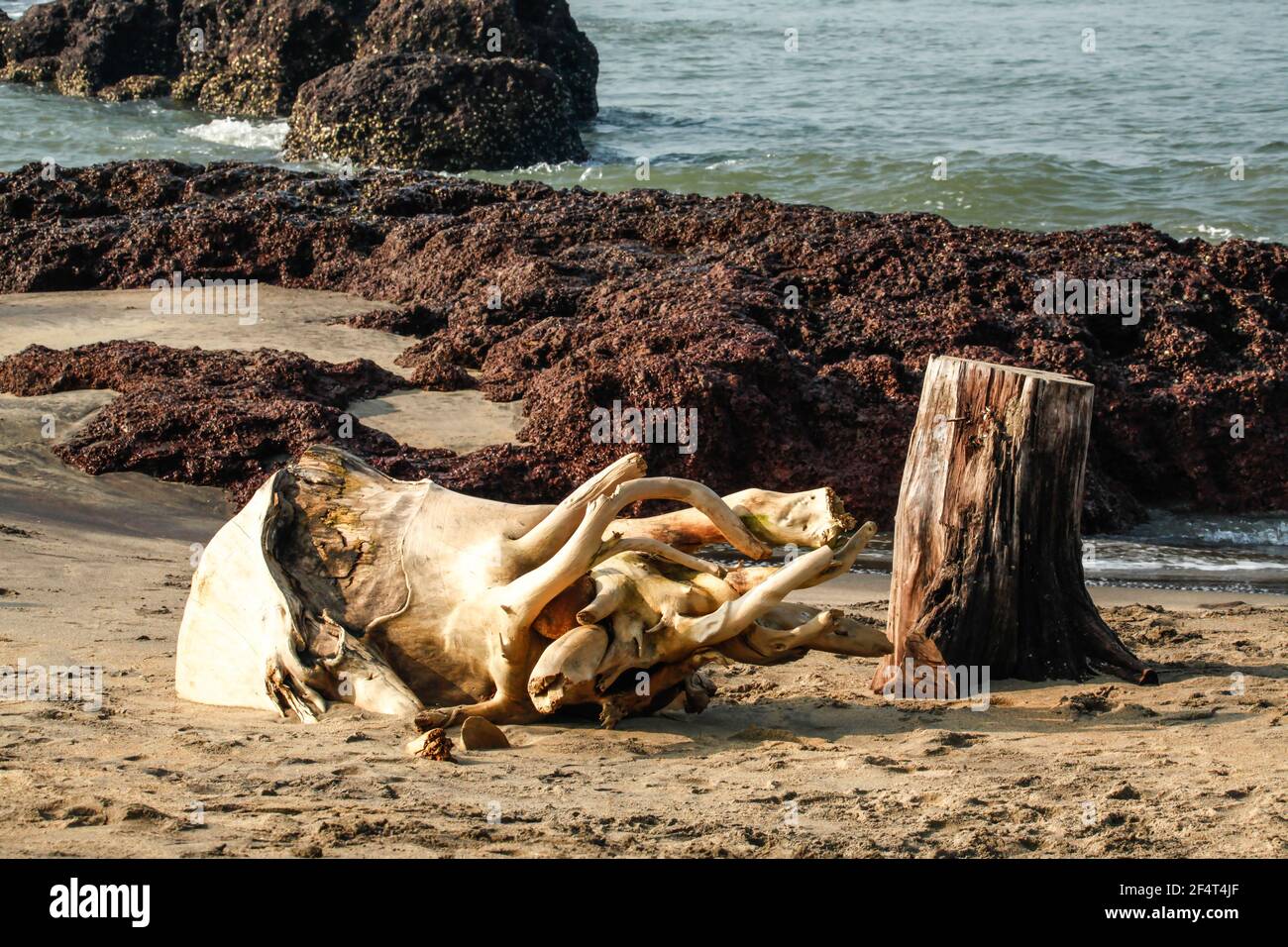 chaliyam fishing harbour Stock Photo - Alamy