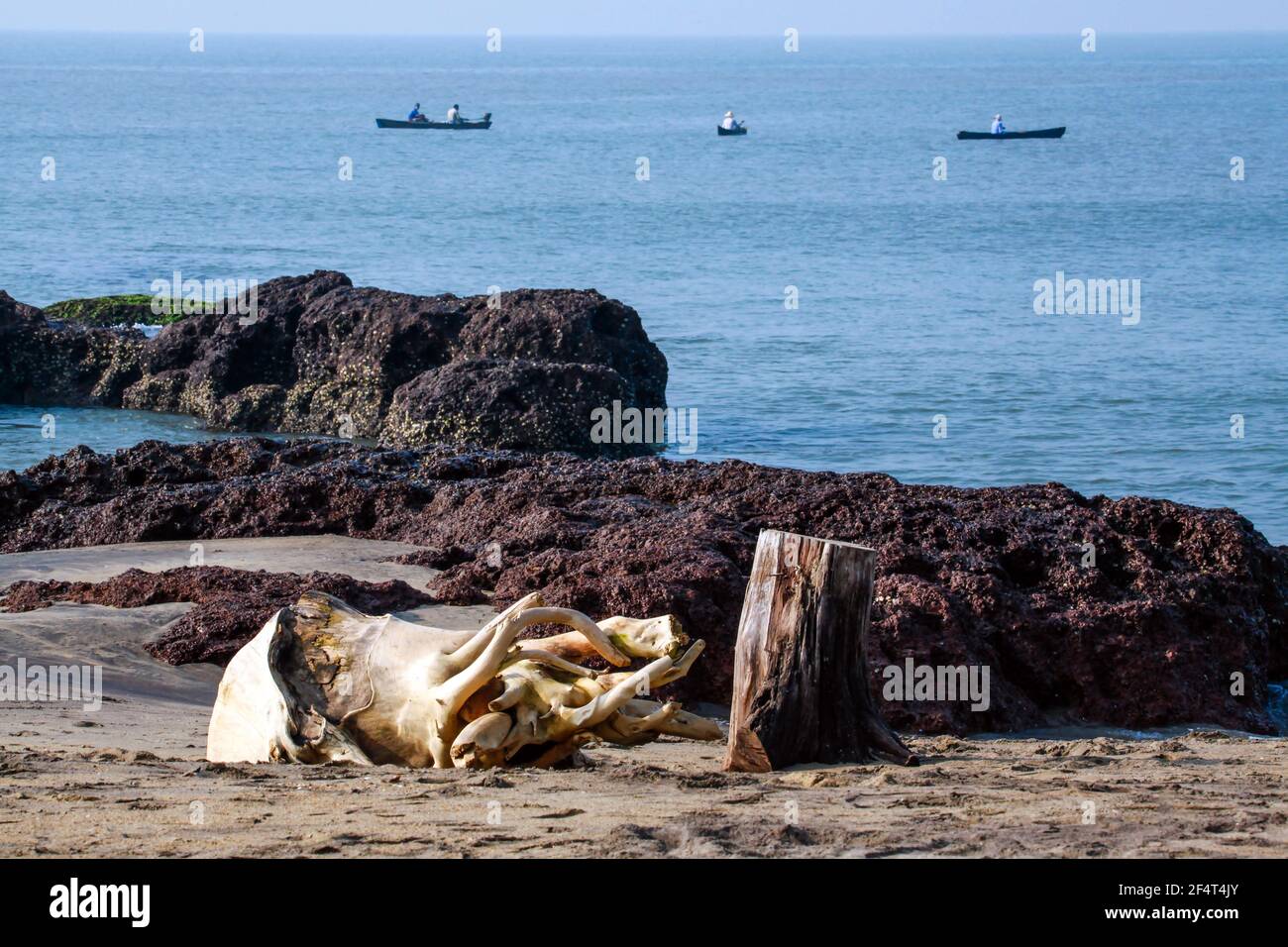 chaliyam fishing harbour Stock Photo - Alamy