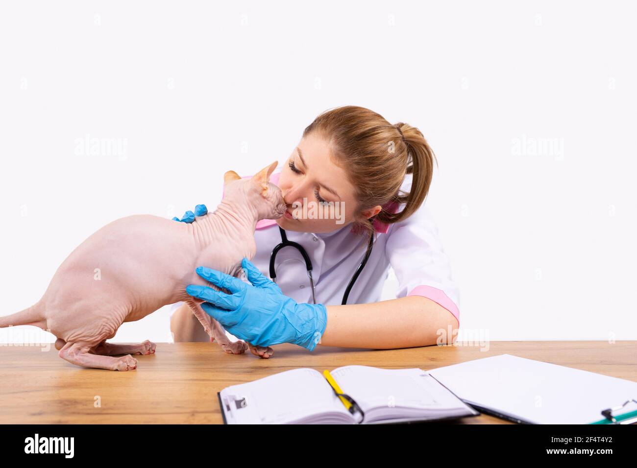 Animals hugging and kissing hi-res stock photography and images - Alamy