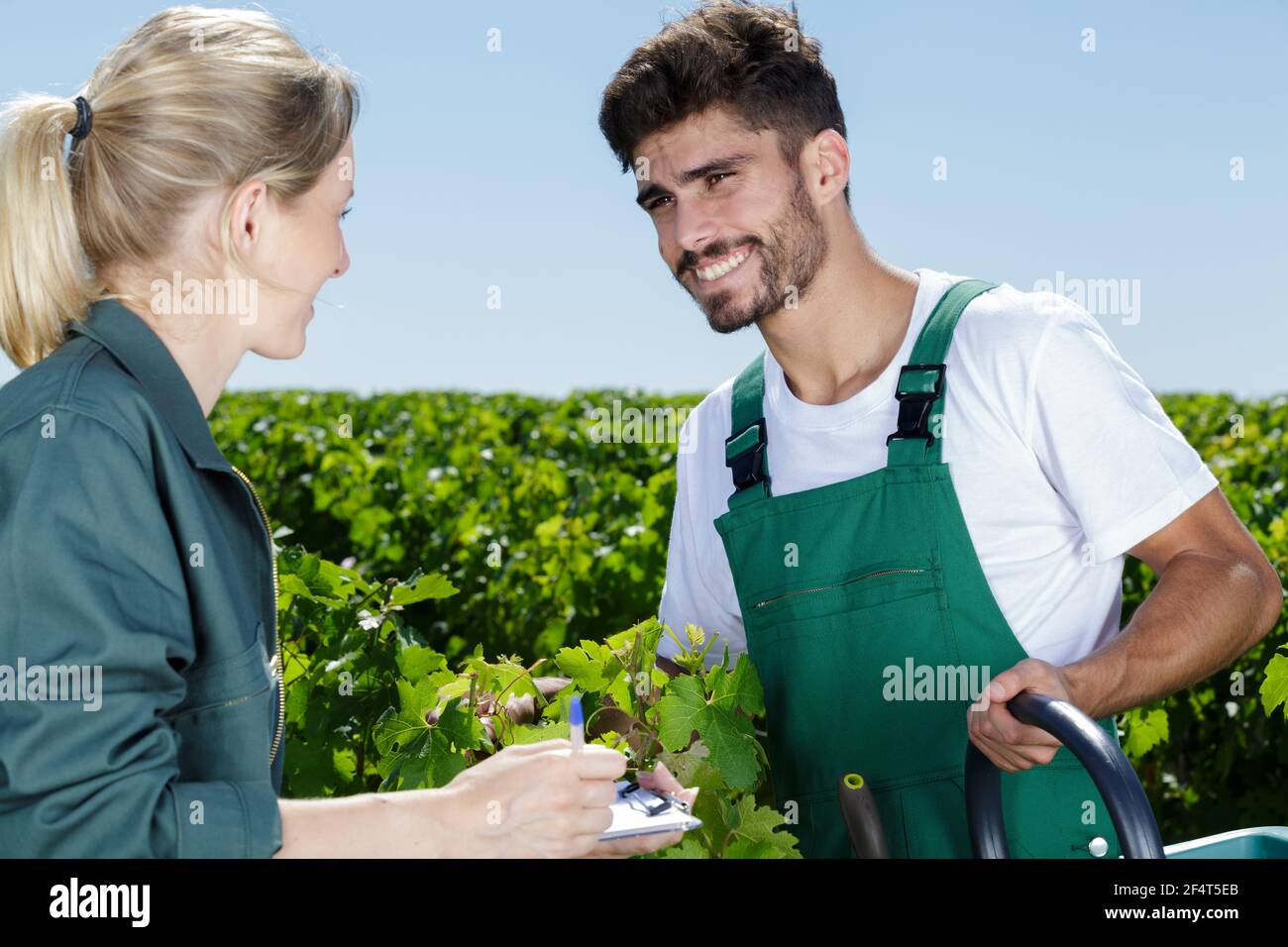 Agriculture workers talking hi-res stock photography and images - Alamy
