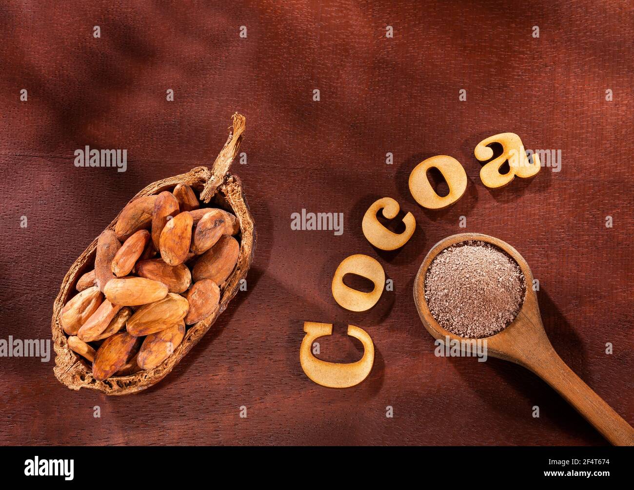 Theobroma cacao - Composition with cocoa beans and powder Stock Photo ...