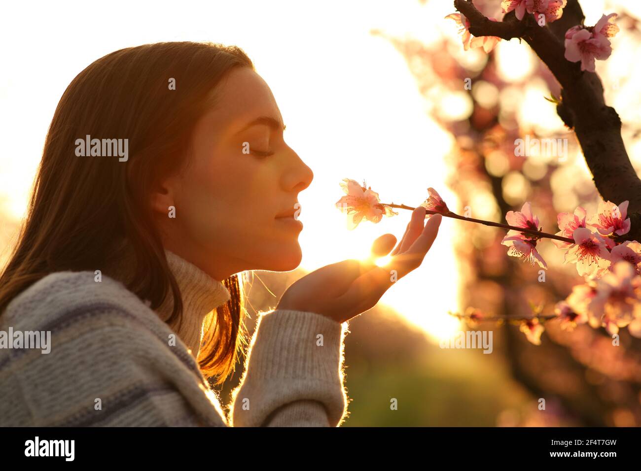 Person in a flower field hi-res stock photography and images - Alamy
