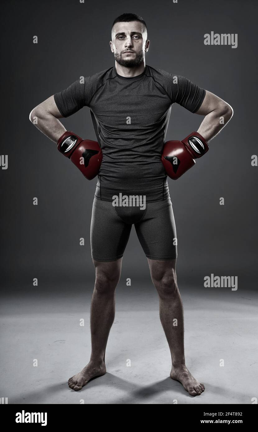 MMA fighter in training, posing for a shot oni gray background Stock ...