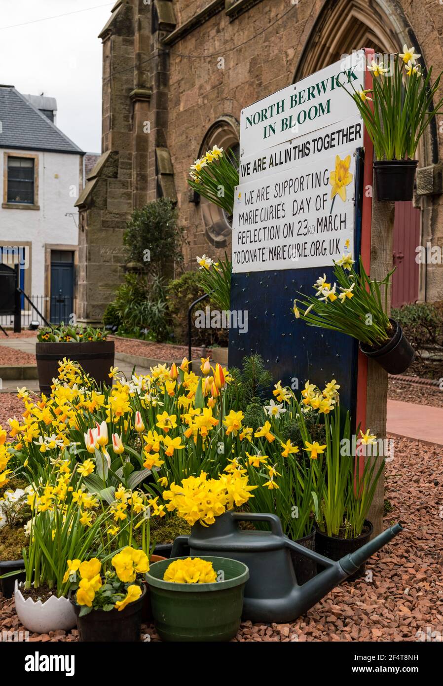 North Berwick, East Lothian, Scotland, United Kingdom, 23rd March 2021 ...