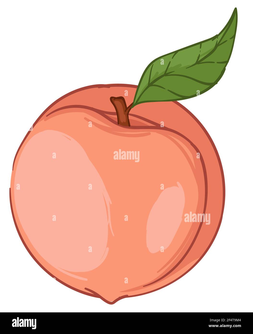 Big peach Stock Vector Images - Alamy