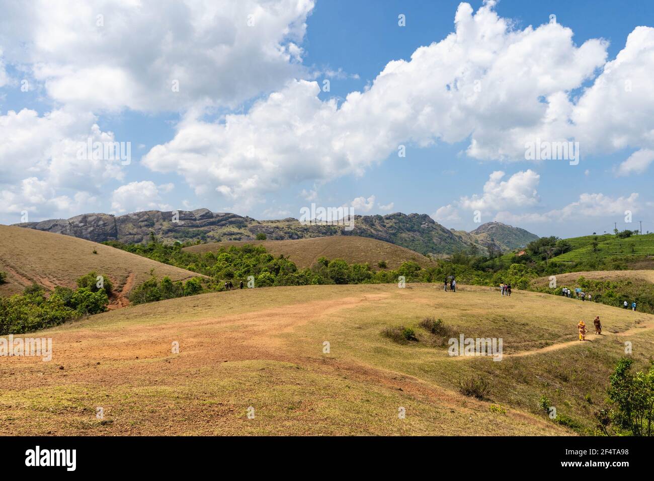 Vagamon Meadow High Resolution Stock Photography and Images - Alamy