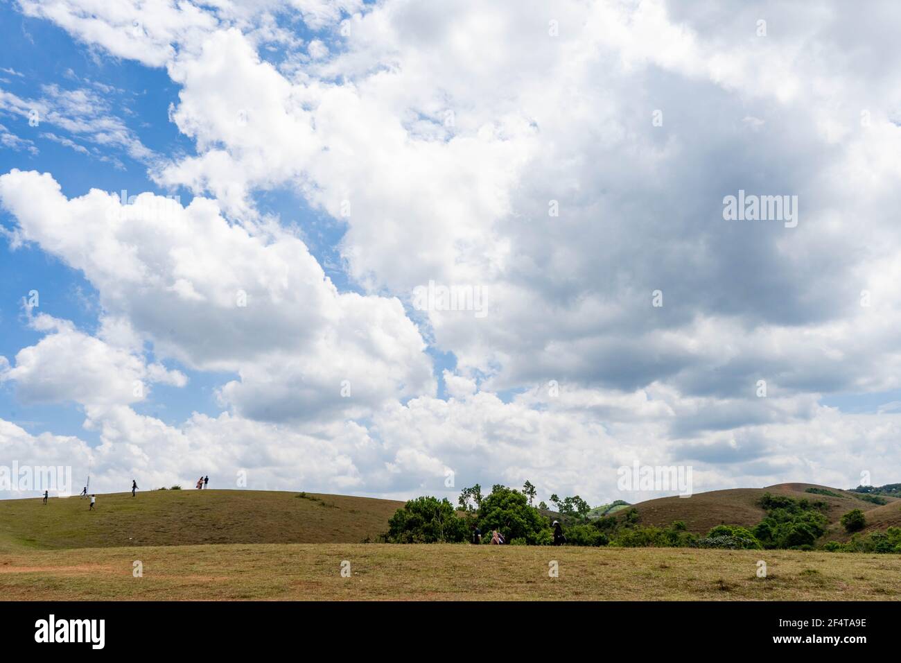 Vagamon meadow hi-res stock photography and images - Alamy