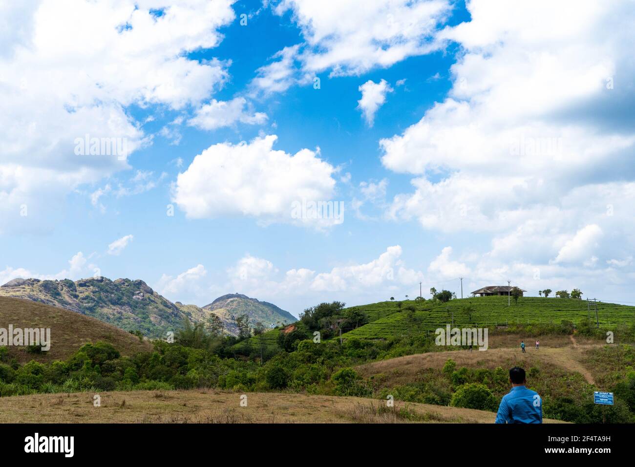 Vagamon meadows hi-res stock photography and images - Alamy