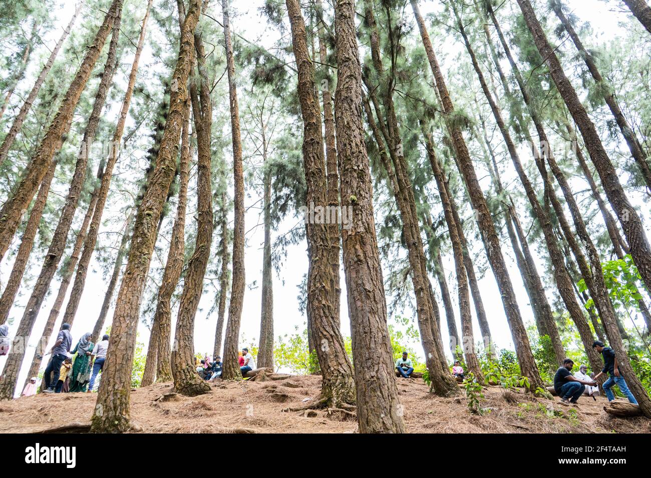 Vagamon kerala hi-res stock photography and images - Alamy