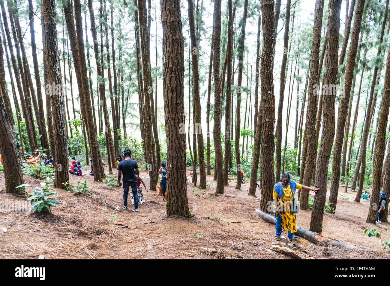 Vagamon kerala hi-res stock photography and images - Alamy