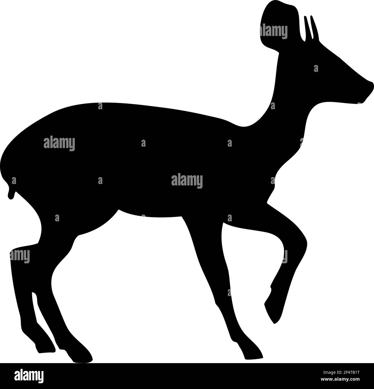 Oribi antelope silhouette. Smooth and clean lines. High detailed Oribi ...