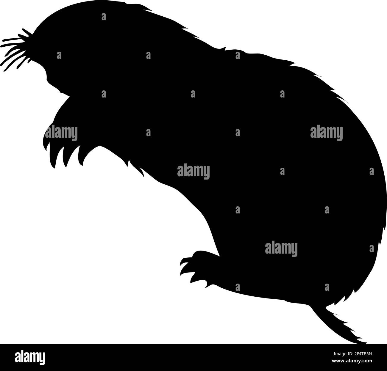 Cartoon mole swimming hi-res stock photography and images - Alamy