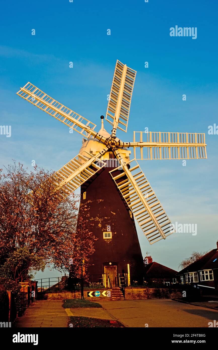 Holgate windmill hi-res stock photography and images - Alamy