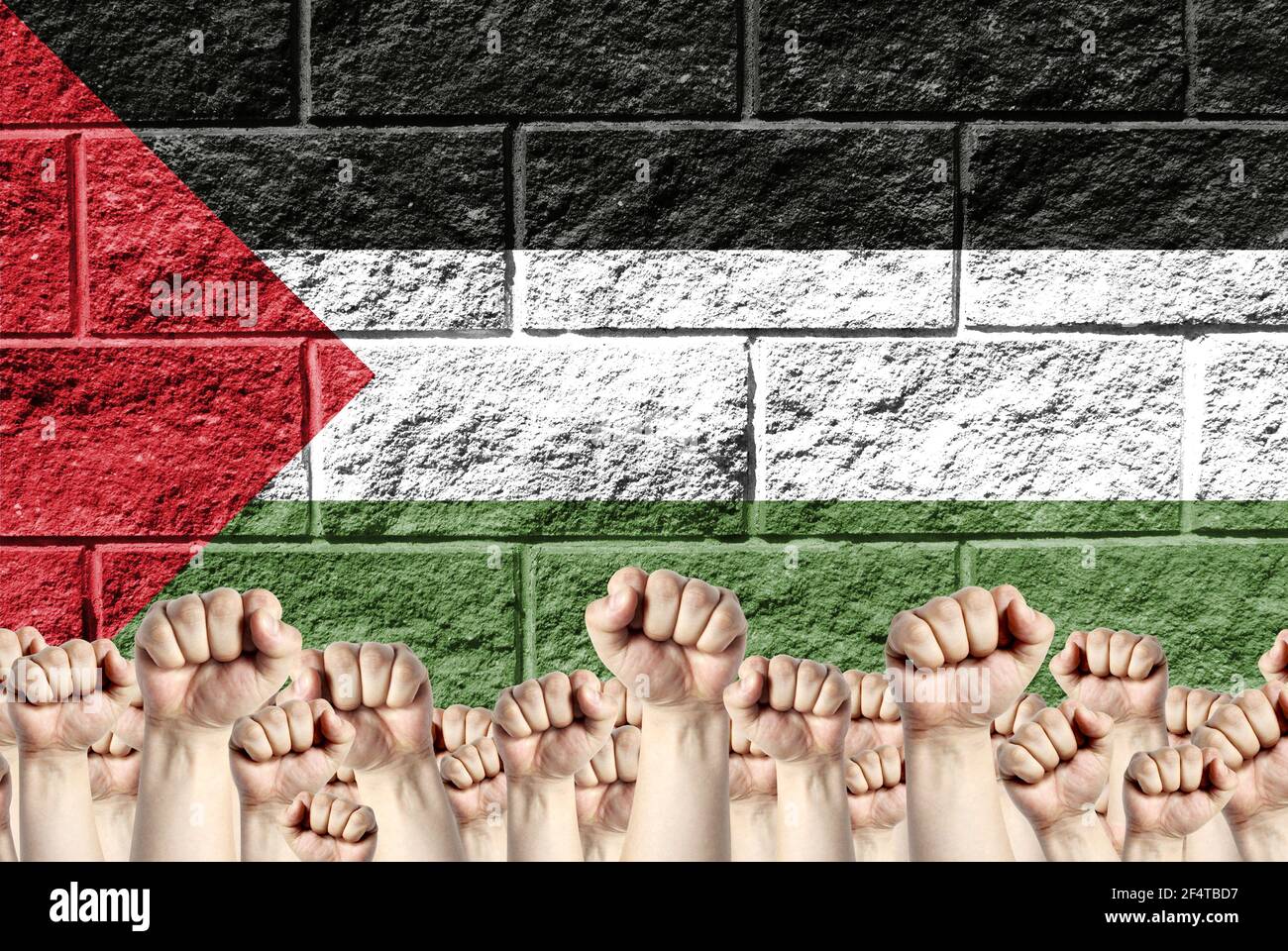 Raised fists against the background of the depicted flag of Palestine ...