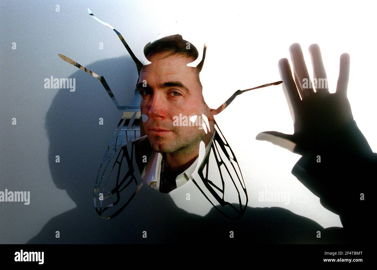 Channelfly hi-res stock photography and images - Alamy